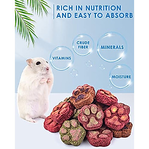 Bissap 20PCS Bunny Chew Toys, Mixed Natural Timothy Hay Rose Carrot Fruit Chinchillas Chewing Toys and Treats for Rabbits Bunnies Guinea Pigs Hamsters Gerbils and Other Small Animals Molar Snacks