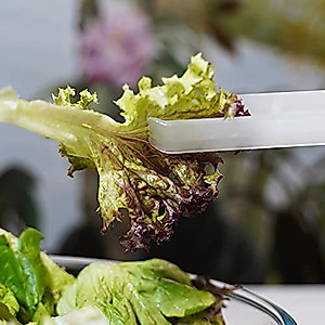 Plastic Serving Utensils, 9" Clear Disposable Utensils 18 Pack, 6 Serving Tongs, Spoons, Forks