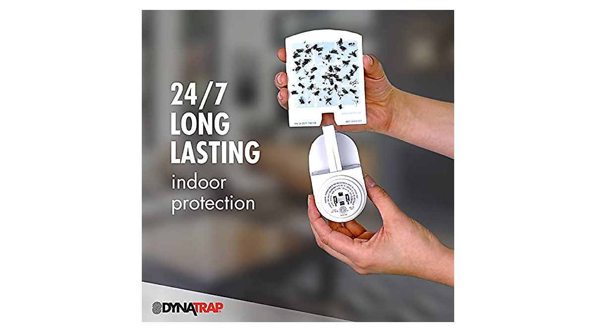 DynaTrap DT3005W-DS3: Discreet Insect Trap 3-Pack