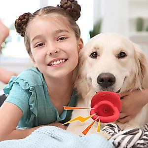 LLSPET Latex Chew Dog Toys, Novelty Squeaky Pacifier Dog Toys for Teething Puppies, Mild Chewing Small, Medium, Large Dogs, Pet Dogs Supplies Newborn Puppy Gift