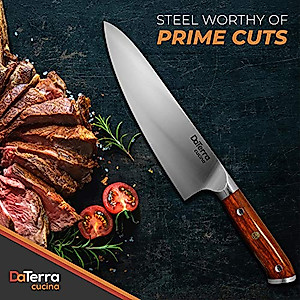 DaTerra Cucina Chef Knife - 8 Inch | Eisenrose - Sharp German Steel - Professional Kitchen Knives
