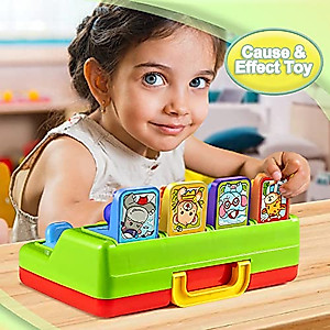 Duchong Interactive Pop Up Animals Toy for Toddlers, STEM Early Developmental Cause and Effect Toys for Ages 9-12-18 Months Toddlers & 1 Year Old Kids, Babies, Boys & Girls