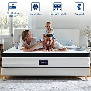 Molblly Queen Mattress, 10 inch Innerspring Mattress in a Box, Ultimate Motion Isolation Individually Wrapped Pocket Coils Mattress, Pressure Relief and Supportive