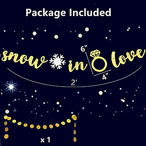 2PCS LaVenty Snow In Love Banner Snow In Love Decorations Winter Bachelorette Party Decorations Engagement Party Decorations