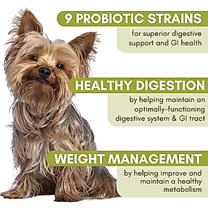 Wholistic Pet Organics WholeBiotics Supplement: Organic Dog Probiotic Powder - Cat Probiotic with Digestive Enzymes - Dog Probiotics for Diarrhea, Gas, Constipation, Upset Stomach, Allergies - 1 Oz
