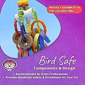 Super Bird Creations SB1107 Bagel Cascade Bird Toy, Large Bird Size, Refillable Bagels, 15” x 4.5”