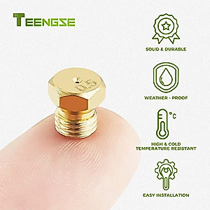 M6×0.75mm/0.5mm Brass Jet Nozzle, TEENGSE 20PCS LP Gas Conversion Kit for Propane LPG Natural Gas Pipe, Water Heater, DIY Burner Parts