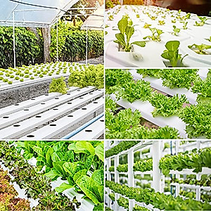 VIVOSUN 25 Pack 3 Inch Net Pots Heavy Duty Net Cups with 12 Pcs Plant Labels