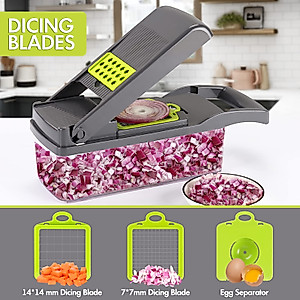 Ourokhome Vegetable Chopper, Onion Chopper, 12 in 1 Professional Mandoline Slicer for Kitchen, Multifunctional Food Chopper Cutter for Potato, Tomato, Veggie with 8 blades and Filter Basket (Gray)