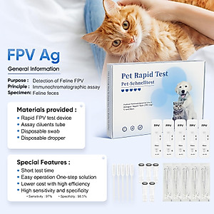 PawsXfun Cat Healthy FPV Test Kit for Cats - Accurate & Quick 5-Pieces Home Detection in Feces in 5-10 Minutes! Easy to Use Non-Invasive Early Diagnosis Tool Suitable for All Breeds & Ages