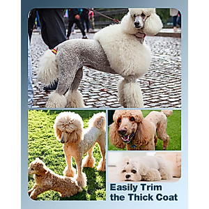 oneisall Dog Clippers for Grooming for Thick Heavy Coats/Low Noise Dog Grooming Kit/Rechargeable Cordless Pet Shaver with Stainless Steel Blade/Waterproof Dog Shaver for Dogs Pets and Animals Sliver