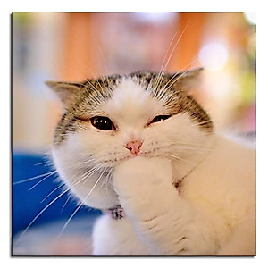 Fisting Cat Funny Animal Poster Print Art Picture 9302 Wall Art Canvas Prints Poster For Home Office Decorations With Framed 16"x16"