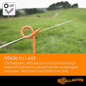 Gallagher Electric Fence Poly Wire | Bonus Pack - 1312 Ft Plus Free 328 Ft Roll | 6 Stainless Steel Strands for Reliable Conductivity and Rust Resistance | 1/16" Diameter Polywire | UV Resistant