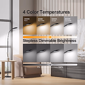 OUTON LED Floor Lamp, 12W 1080LM, Dimmable Adjustable Gooseneck Standing Lamp with 4 Color Temperature, Remote & Touch Control, 1H Timer, Memory Function for Reading Living Room Bedroom Office (Black)