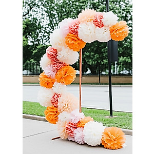 PapaKit Party Tissue Pom Pom Paper Flower Set, for Birthday Party Baby Shower Wedding Engagement Bachelorette Event Decoration ( Bright Orange Bloom, 20 Piece Set)