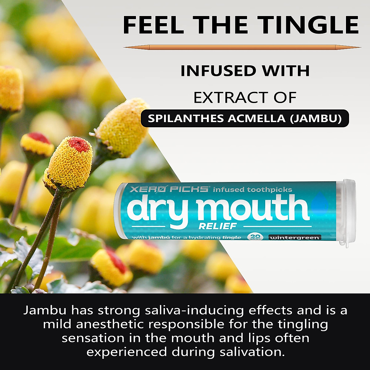 Xero Picks Dry Mouth - Infused Flavored Toothpicks for Long Lasting Fresh Breath & Dry Mouth Prevention (1 Pack - Wintergreen)