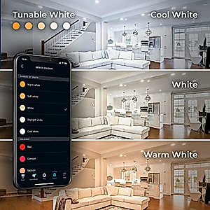 Globe Electric 50589 Color-Changing A19 LED Smart Light Bulb, 2.4 GHz Wi-Fi, 60W Equivalent 800LM, Works with Alexa Only, 1-Pack