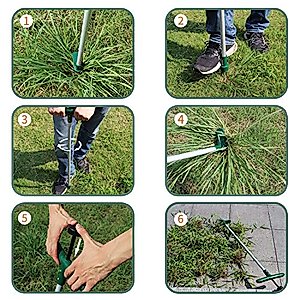 Walensee Weed Puller, Stand Up Weeder Hand Tool, Long Handle Garden Weeding Tool with 3 Claws, Hand Weed Hound Weed Puller for Dandelion, Standup Weed Root Pulling Tool and Picker, Grabber (1 Pack)
