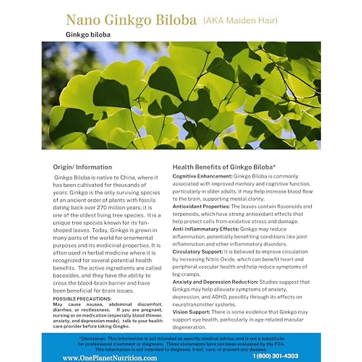 One Planet Nutrition Nano Ginkgo biloba 250 mg Veggie Capsules (120 Servings), Ginkgo biloba Extract, Nano for Higher Absorption, Improves Cognitive Function & Circulation, Non-GMO, Vegan, Gluten Free