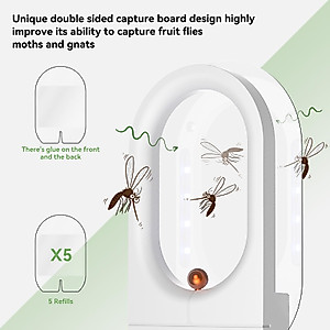 Fruit Fly Traps for Indoors, Plug in Fly Trap Indoor Bug Catcher with Double Sided Glue Card, Flying Insect Trap Gnat Traps for Mosquito, Flies, Fruit Flies, Moths, Gnats (1 Device + 5 Refills)