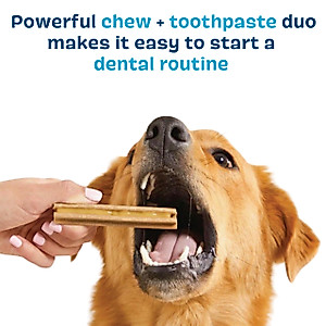 Bark Bright Original Dog Dental Kit - 30 Teeth Cleaning Chew Sticks & Toothpaste - Medium Breeds