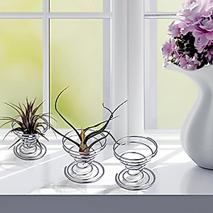 Shappy 6 Pieces Air Plant Stand Airplant Container Tillandsia Holder Stainless Steel Plant Display Racks, Silver
