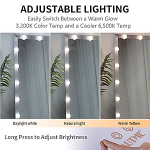 ANYHI Mirror with Lights Full Length, 62.6'' x 23.3'' LED Full Body Floor Dressing Mirror with 22 Dimmable Bulbs, Dimmable, 3 Color Lighting, Wall Mount/Standing (Silver)
