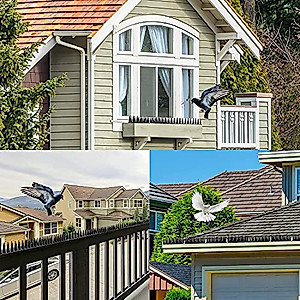 JOROMIT Bird Spikes, 20 Packs 23 Ft Bird Deterrent Spikes Strips Bird Spikes for Small Birds Deterrent Spikes for Fences and Roof to Keep Birds Away