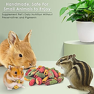 ERKOON Chinchilla Treats, Chew Toys for Teeth for Rabbit Guinea Pig Gerbil Rat Dwarf Hamster (Treats)