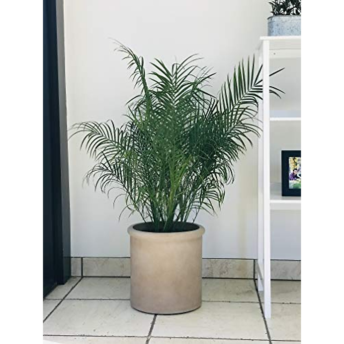 Kante Large Concrete Round Classic Planter for Outdoor, Desert Sand 13.8" x 13.8" x 13.8"