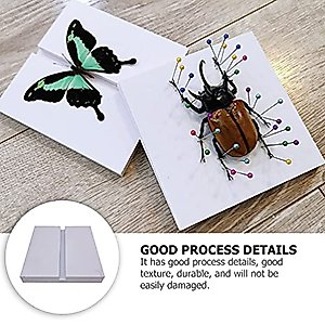 Specimen Spreading Board Pinning Board: Butterfly Spreading Wings Board Experiment Tool Butterflies Specimen Display Board Specimen Tools for Collection- 1 Pc Wings Spreading Board