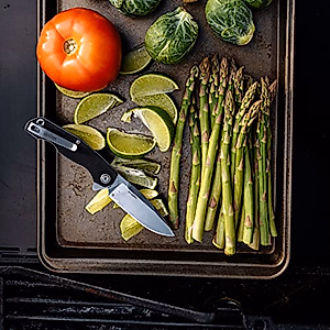 Kershaw Inception Folding Pocket Knife, 3.25 inch Blade with D2 Steel, Manual Opening and G10 Handle, Pocketclip