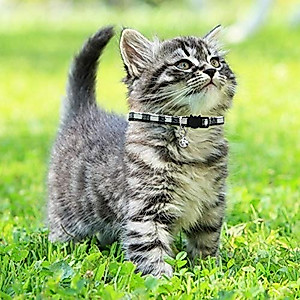 MJIYA Cat Collar with Bell, Breakaway Grid Collar with Plastic Buckle, Light Adjustable, Nylon, Kitty Collars (Black, M)