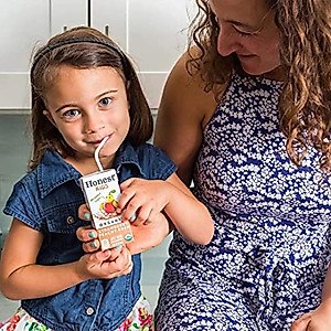 Honest kids Assorted Organic Juice Drink Variety Pack, 6 Fl Oz, (40 Count)