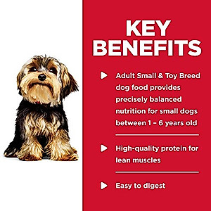 Hill's Science Diet Wet Dog Food, Adult, Small Paws for Small Breeds, Chicken & Barley Recipe, 5.8 oz Cans, 24 Count (pack of 1)