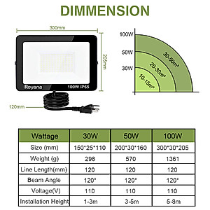 Royana 100W LED Flood Light Outdoor with Plug, IP65 Waterproof LED Work Lights, Portable Daylight White Floodlight Spotlight, 6000K 10000LM Super Bright Security Light for Yard Garden Court Lawn