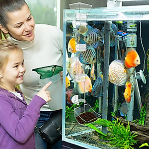 Rainmae Aquarium Fish Shrimp Feeding Dish Set, Transparent Aquarium Fish Feeder Tube Kit, Fish Tank Feeding Supplies with Cleaning Brush Aquarium Fish Tank Feeder and Preventing Food Scattering