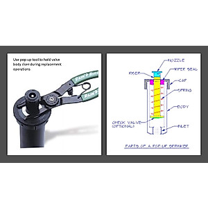 Modtek Replacement Pop UP Sprinkler Heads for RainBird, Hunter, Orbit Pop Up Sprinklers, Sprinkler Color May Vary. (5, 8AN)