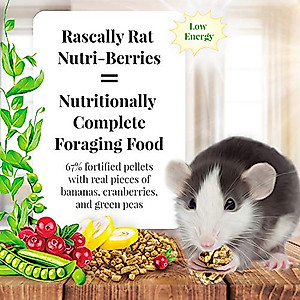 LAFEBER'S Rascally Rat Nutri-Berries, Made with Non-GMO and Human-Grade Ingredients, for Rats, 10 oz