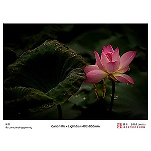 Lightdow 420-800mm f/8.3 Super Telephoto Lens with T-Mount for Canon EOS DSLR Cameras - White