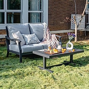 LebenLiebe Outdoor Patio Loveseat 2 Seat Sofa Patio Love Seat with Curved Armrests Aluminum Loveseat Couch with Coffee Table,Gark Grey
