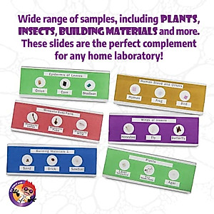Prepared Microscope Slide Kit (72 Specimens) for Basic to Intermediate Biological Education - Shatterproof Microscope Slides for Kids w/ 72 Unique Specimens of Plants, Algae, Pollen & More