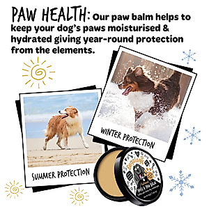 Bugalugs Dog Paw Pad Balm & Dog Nose Balm 30 g (1.06 oz) - Moisturizing Dog Paw Balm That Creates an Invisible Barrier That Protects and Heals Dry Cracked Paws - All-Natural Dog Paw Balm with Oatmeal