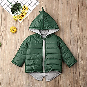 Fashion Toddler Baby Boys Girls Dinosaur Hoodie Jacket Fall Winter Long Sleeve Warm Coats Kids Zip Up Outwear Clothes (Green,4-5T)
