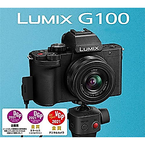 Panasonic LUMIX G100 4k Mirrorless Camera, with 12-32mm Lens, DC-G100KK (Black) (International Model)