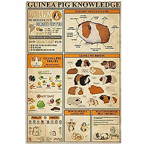 QSHPO Guinea Pig Knowledge Metal Signs Retro Plaque Science Guide Posters Farm Club Home Wall Decor Aesthetic Room Decor 8x12 Inches