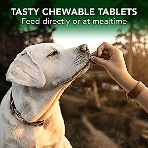 Vet’s Best Seasonal Allergy Relief | Dog Allergy Supplement | Relief from Dry or Itchy Skin | 60 Chewable Tablets