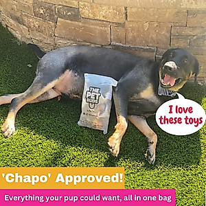 THE PET BUDS No Stuffing Dog Toy Set - 5 Pack Bundle - No Dangerous Stuffing to Chew or Swallow - 2 Squeakers Each - Big Dog Plush Toys for Small, Medium and Large Dogs - Cute Durable Squeaky Dog Toy