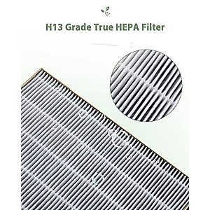 TT-AP002 Filter Replacement for TT-AP002 and VAVA VA-EE008 Air Purifiers, Replace TT-AP001SPF，H13 True HEPA Filter
