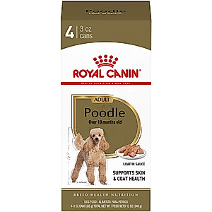 Royal Canin Poodle Adult Breed Specific Wet Dog Food, 3 oz can 4-pack